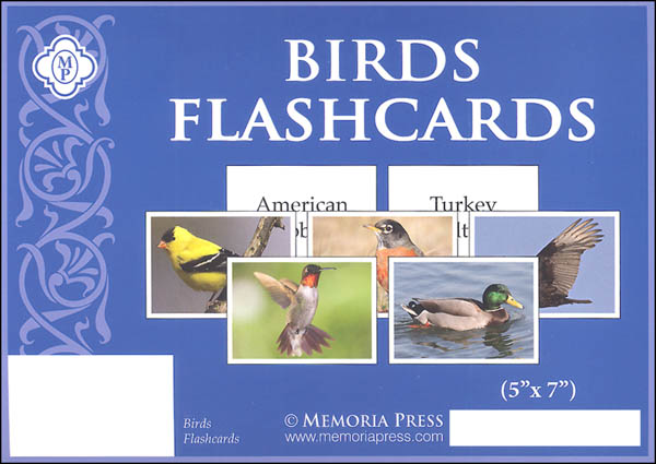 Birds Flashcards