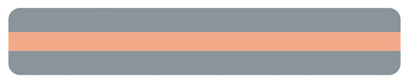 Peach Reading Guide Strip