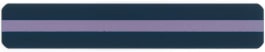 Purple Reading Guide Strip