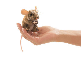 Mini Field Mouse Finger Puppet