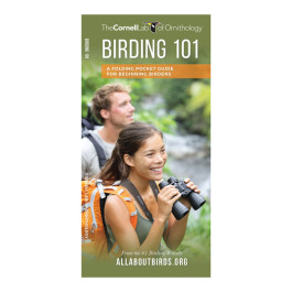 Birding 101: A Folding Pocket Guide for Beginning Birde
