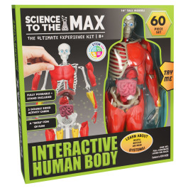 Interactive Human Body