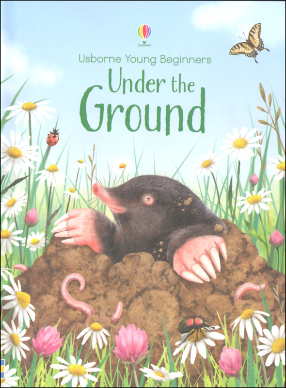 Under the Ground (Usborne Young Beginners)