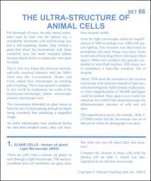 Ultrastructure of Animal Cells Microslide Set