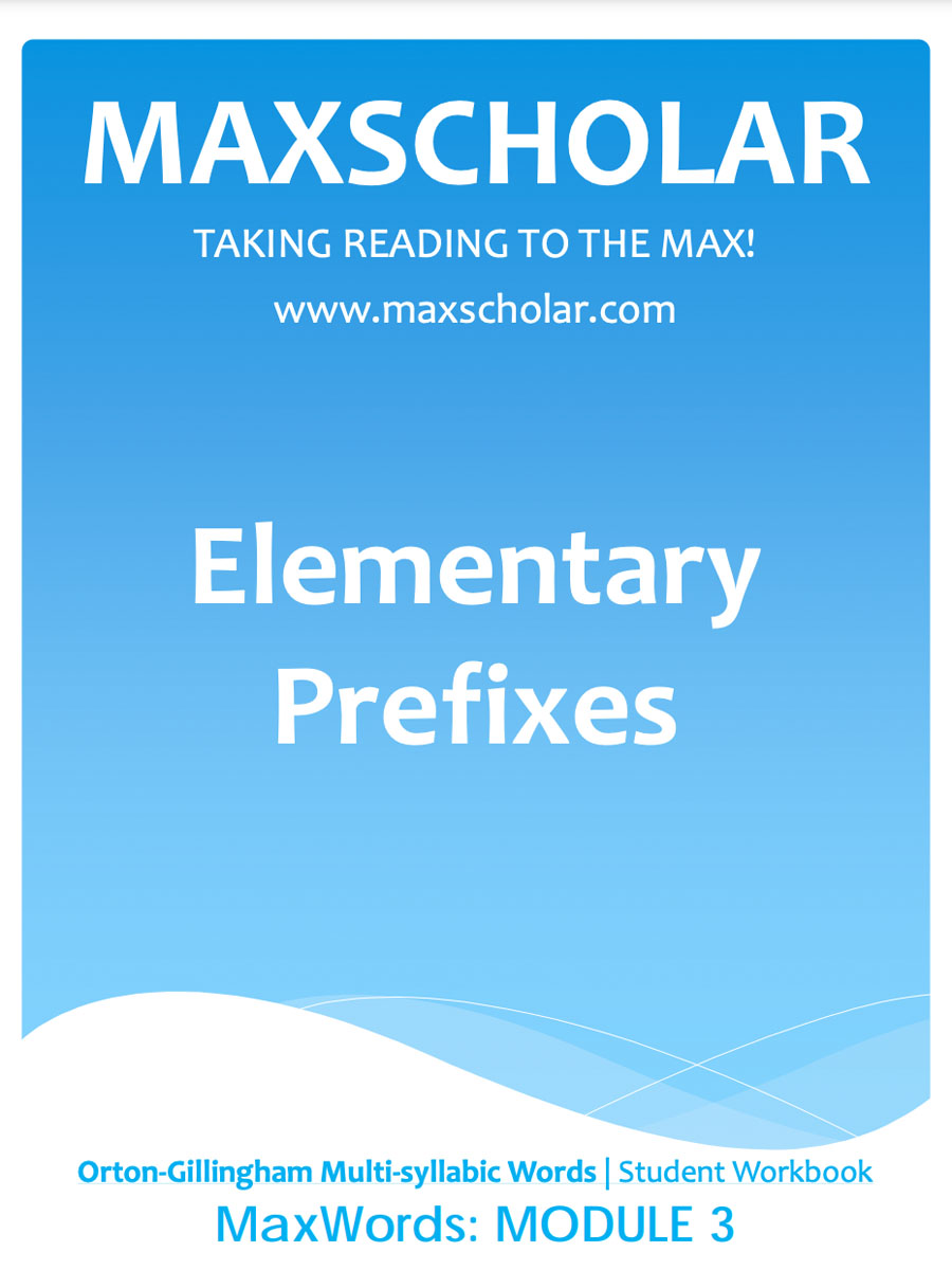 MaxScholar Elementary Prefixes Workbook