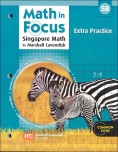 Math in Focus Grade 5