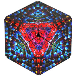 Shashibo Magnetic Puzzle Cube - The Chameleon (Artist Series)