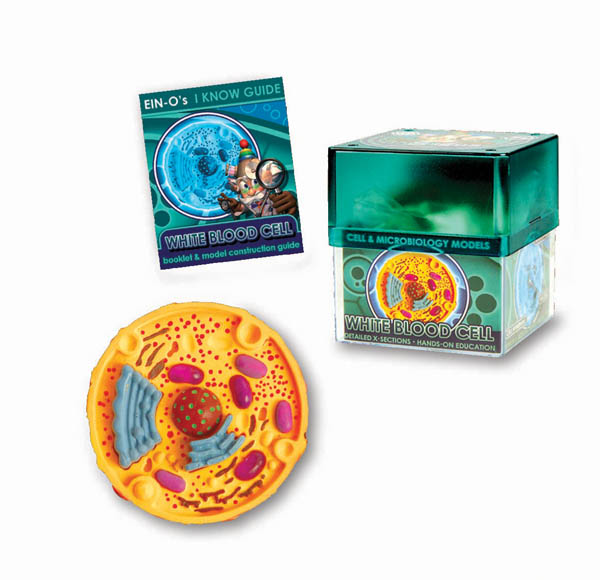 White Blood Cell (Cell & Microbiology Model)