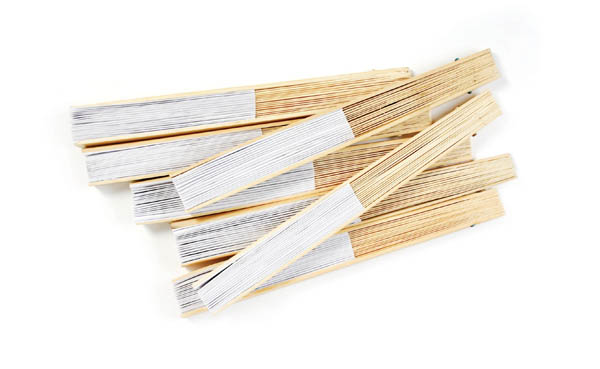 Paper Fans (set of 20)