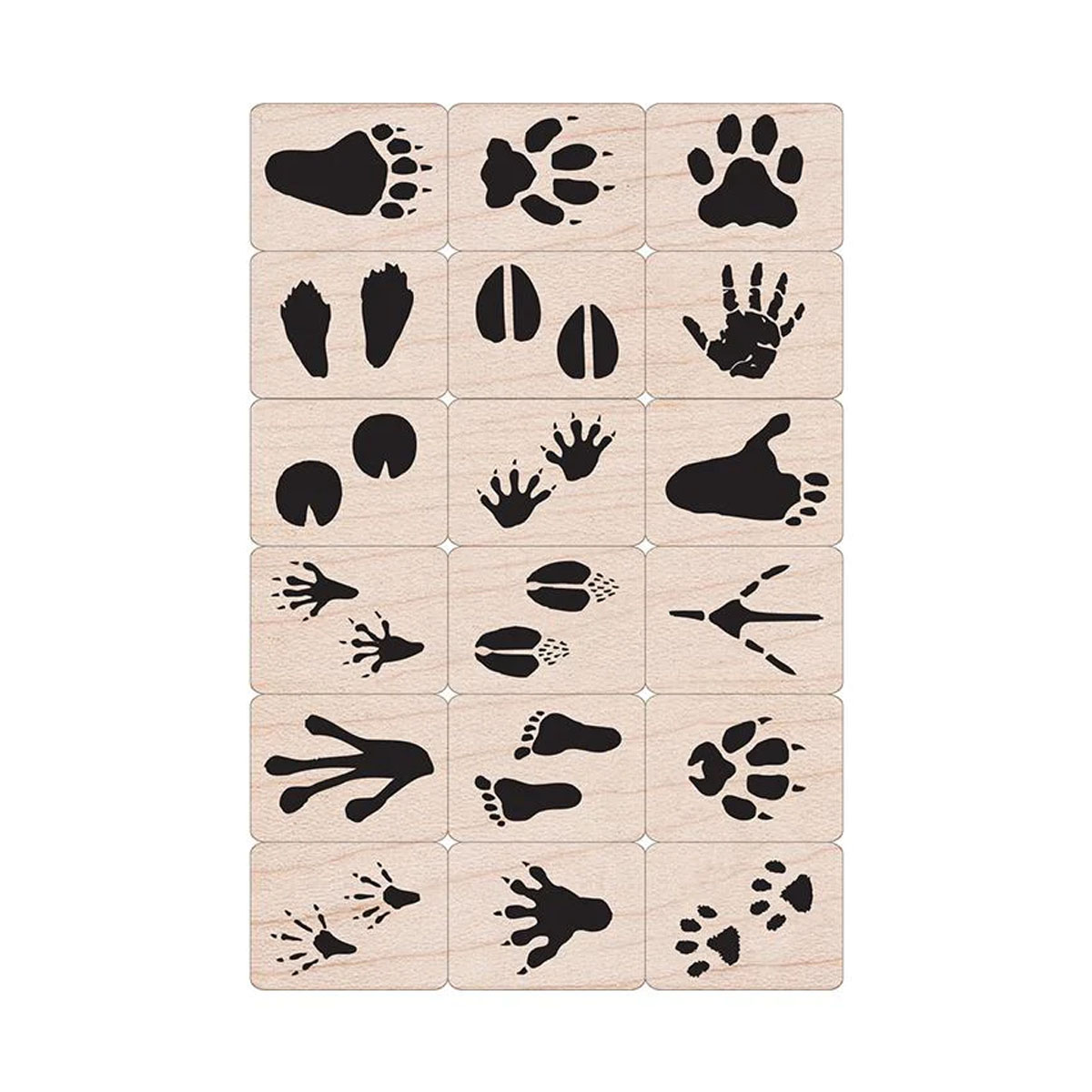 Animal Tracks Rubber Stamp Set