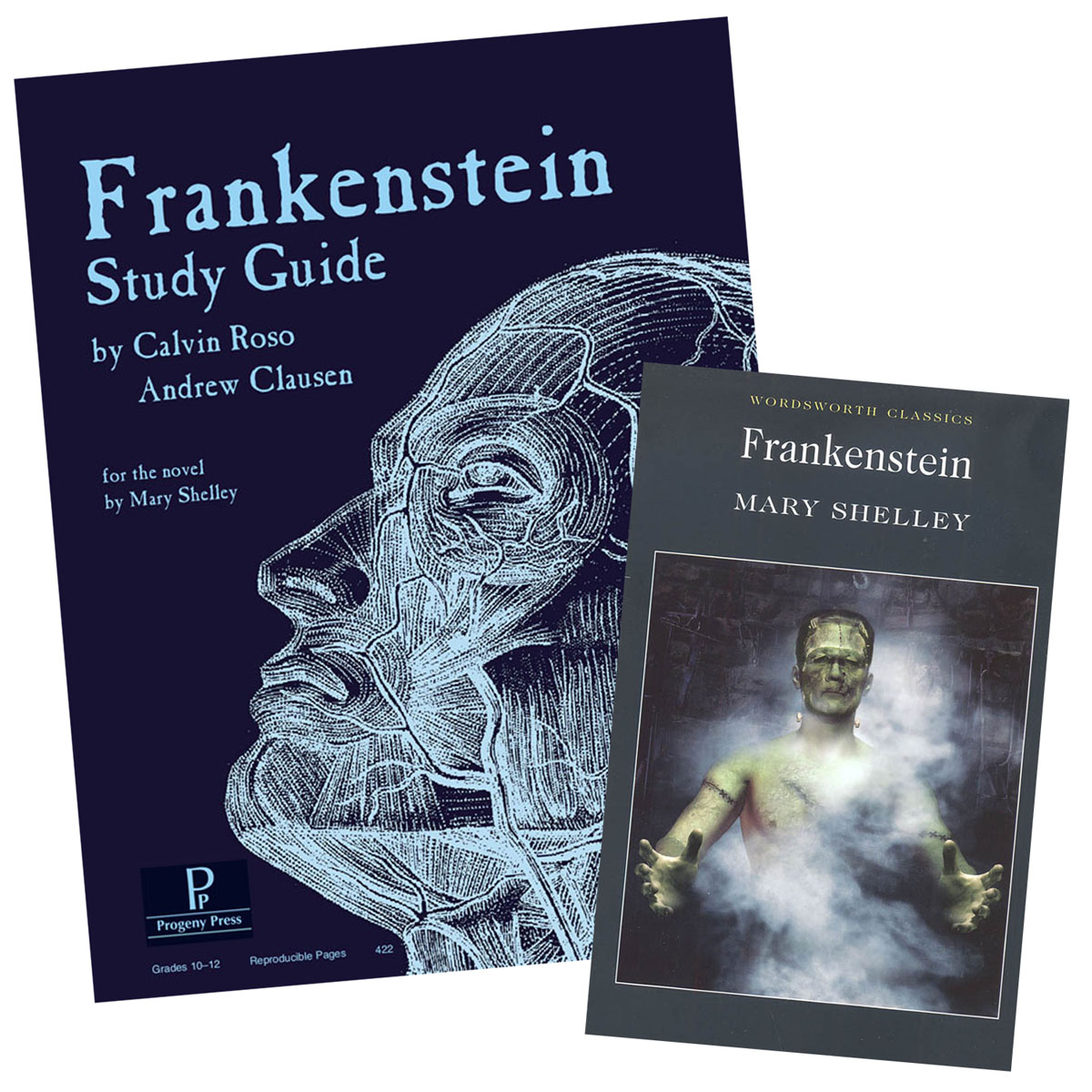 Progeny Press Frankenstein Set