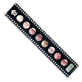 Microslide, Animal Tissues - A Set