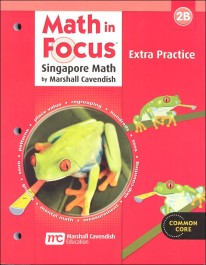 Math in Focus Grade 2 Extra Practice B