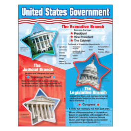 United States Government Chart