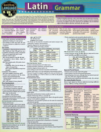 Latin Grammar Guide