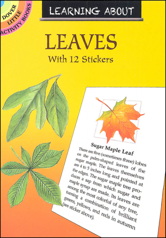 Learning About Leaves