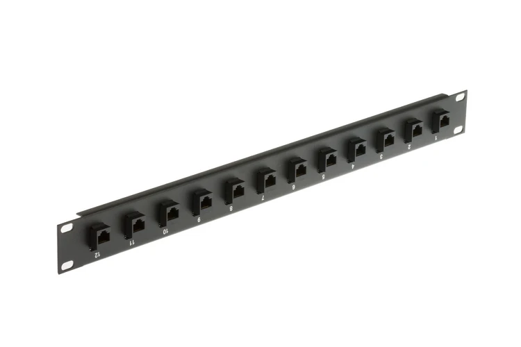Rack Mount Feed-Thru Panel | 12 Port | Cat5e | RJ45 | 1RU | Ships Fast