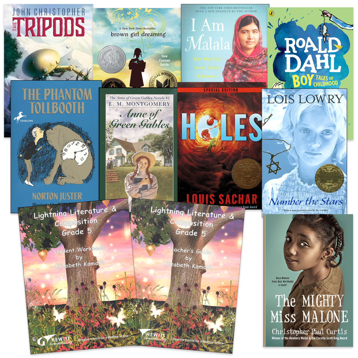 Lightning Literature Grade 5 Full Year Package with Literature