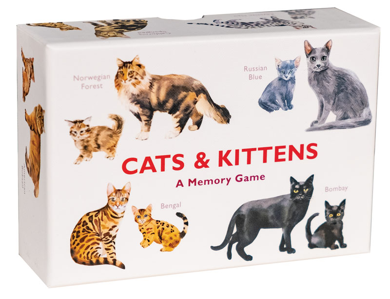 Cats & Kittens: A Memory Game