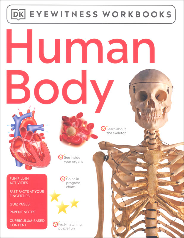 Human Body Eyewitness Workbook