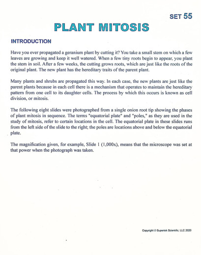 Plant Mitosis Microslide Lesson Set