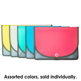 Extra Large Document Case (Assorted Colors)