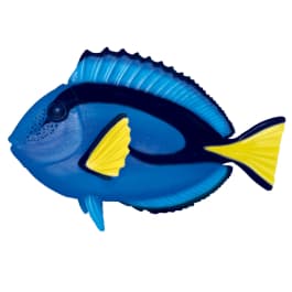 4D Puzzle Blue Tang Fish (14 pieces)