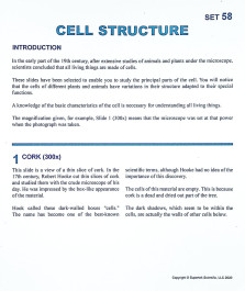 Cell Structure Microslide Lesson Set