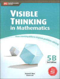 Visible Thinking in Mathematics 5B 3rd Edition