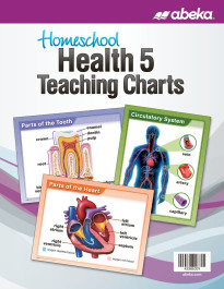 Health 5 Homeschool Teaching Charts - Revised