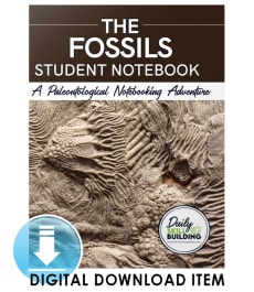 Fossils Student Notebook (Digital)