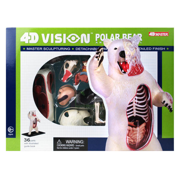 4D Vision Polar Bear Anatomy Model