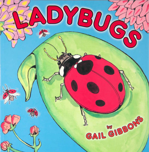 Ladybugs