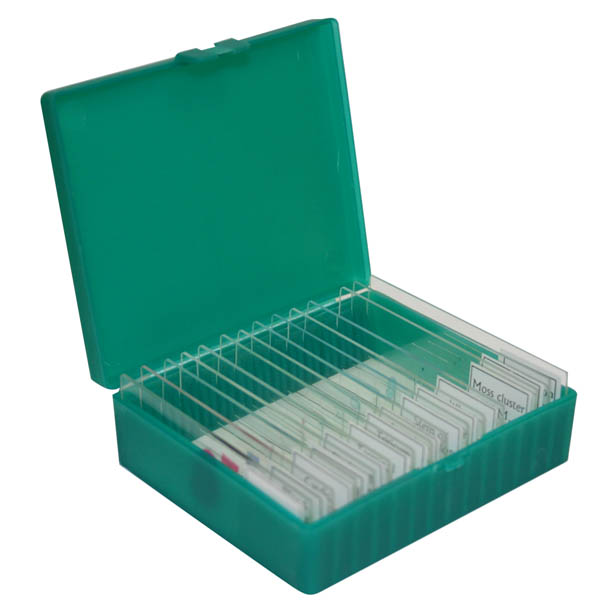 Basic Botany Prepared Slide Set