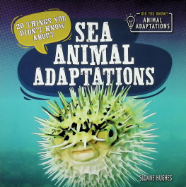 Sea Animal Adaptations (20 Things You Didn't Know About