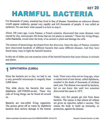 Harmful Bacteria Microslide Lesson Set