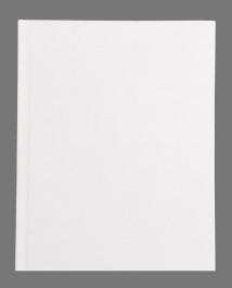 Writer's Notebook Big Bare Book Plus - 92 pages