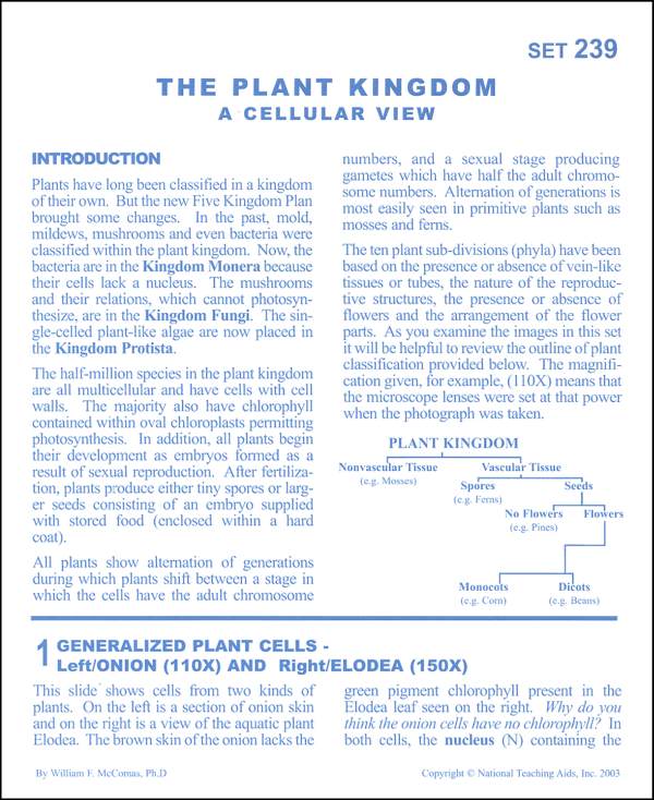 Plant Kingdom Microslide Lesson Set