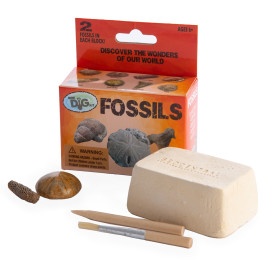 Fossils Mini Dig Kit