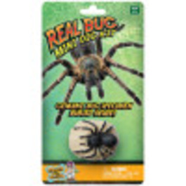 Mini Dig Kit: Real Bug