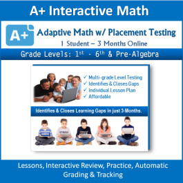 Online Adaptive Placement Test with Individualized Lesson Plan for 1 ...