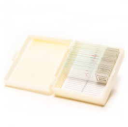 Basic Botany Prepared Slide Set