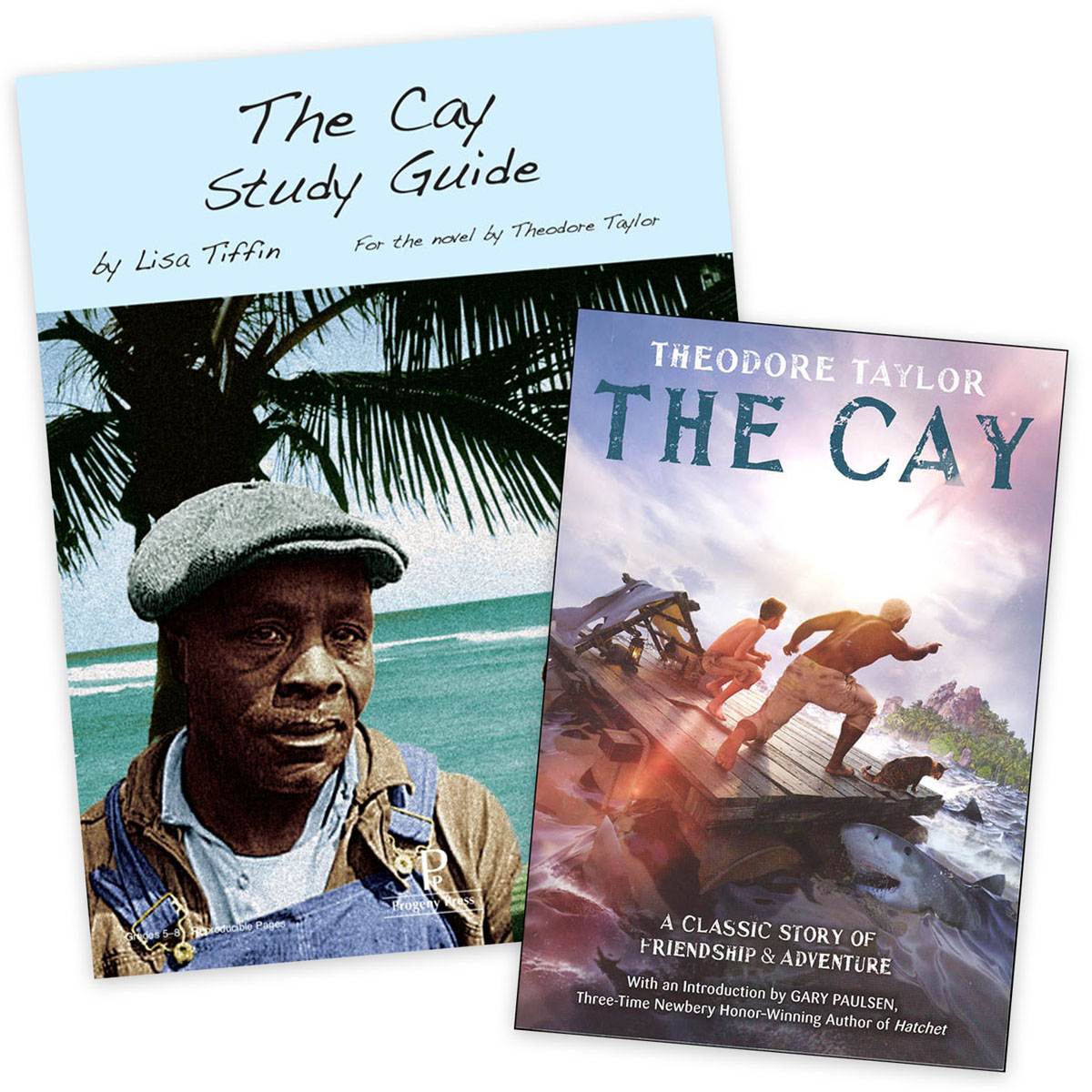 Progeny Press The Cay Set