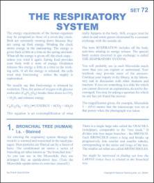 Respiratory System Microslide Lesson Set