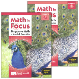 Math in Focus: Singapore Math Student Edition Set Course 1