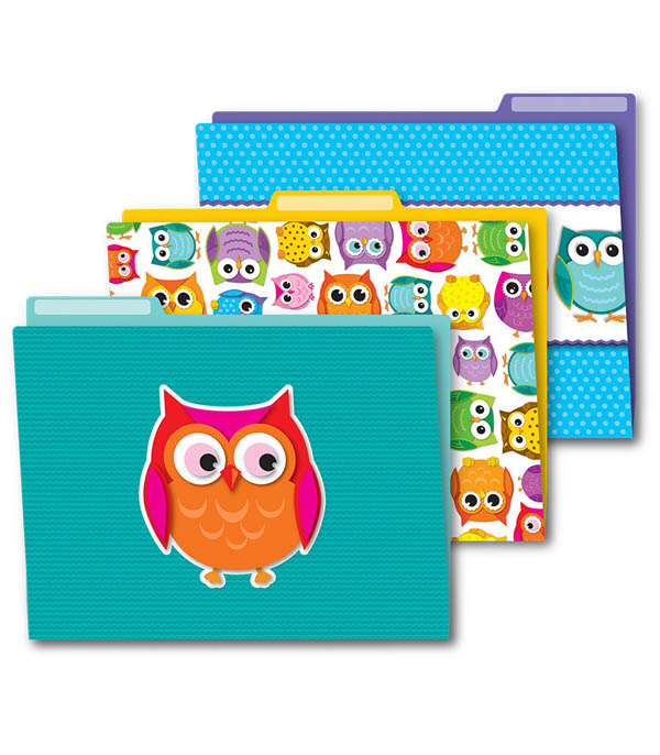 Colorful Owls File Folders (set of 6)