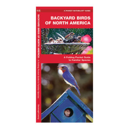 Backyard Birds of North America: Folding Pocket Guide to Familiar Species
