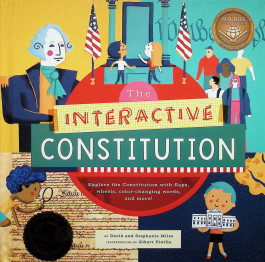 Interactive Constitution