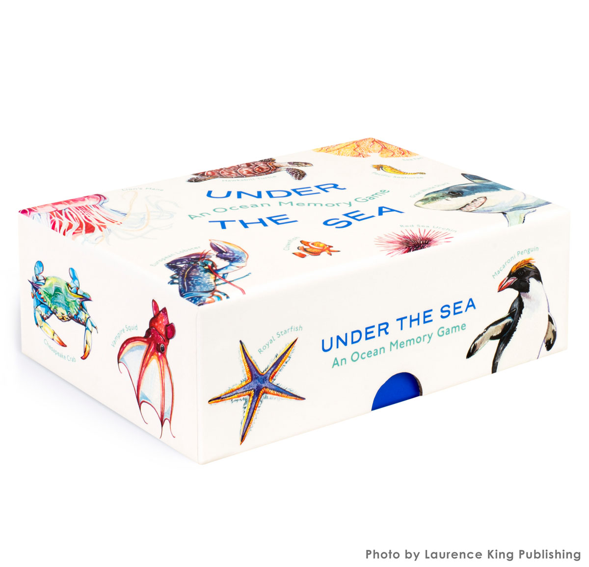 Under the Sea: An Ocean Memory Game