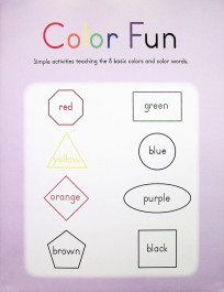 Color Fun Workbook